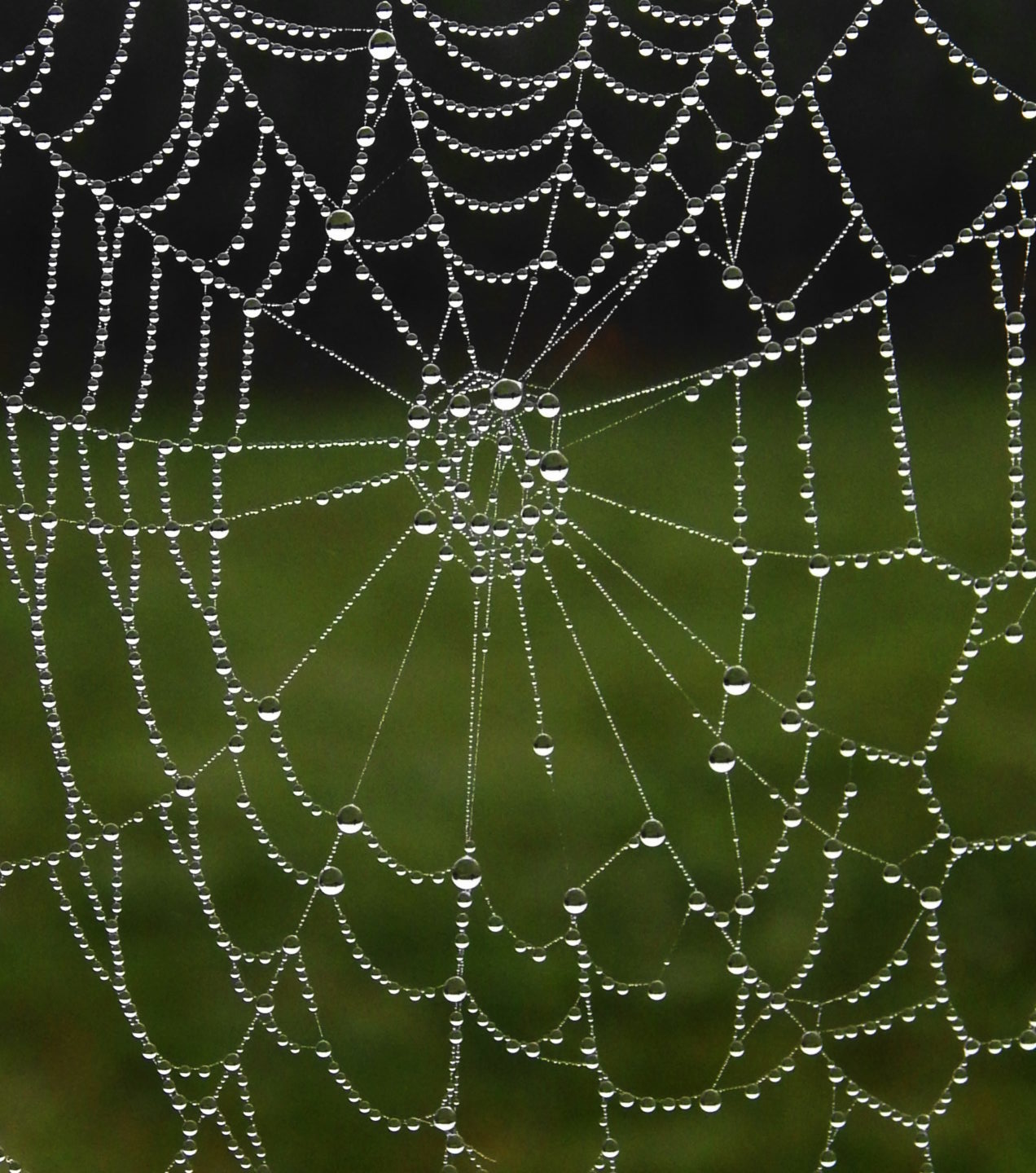 Symposium on Del Pinal and Spaulding, “Conceptual Centrality and ...