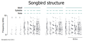 Systems Neuroscience Highlights: April 2018 — The Brains Blog