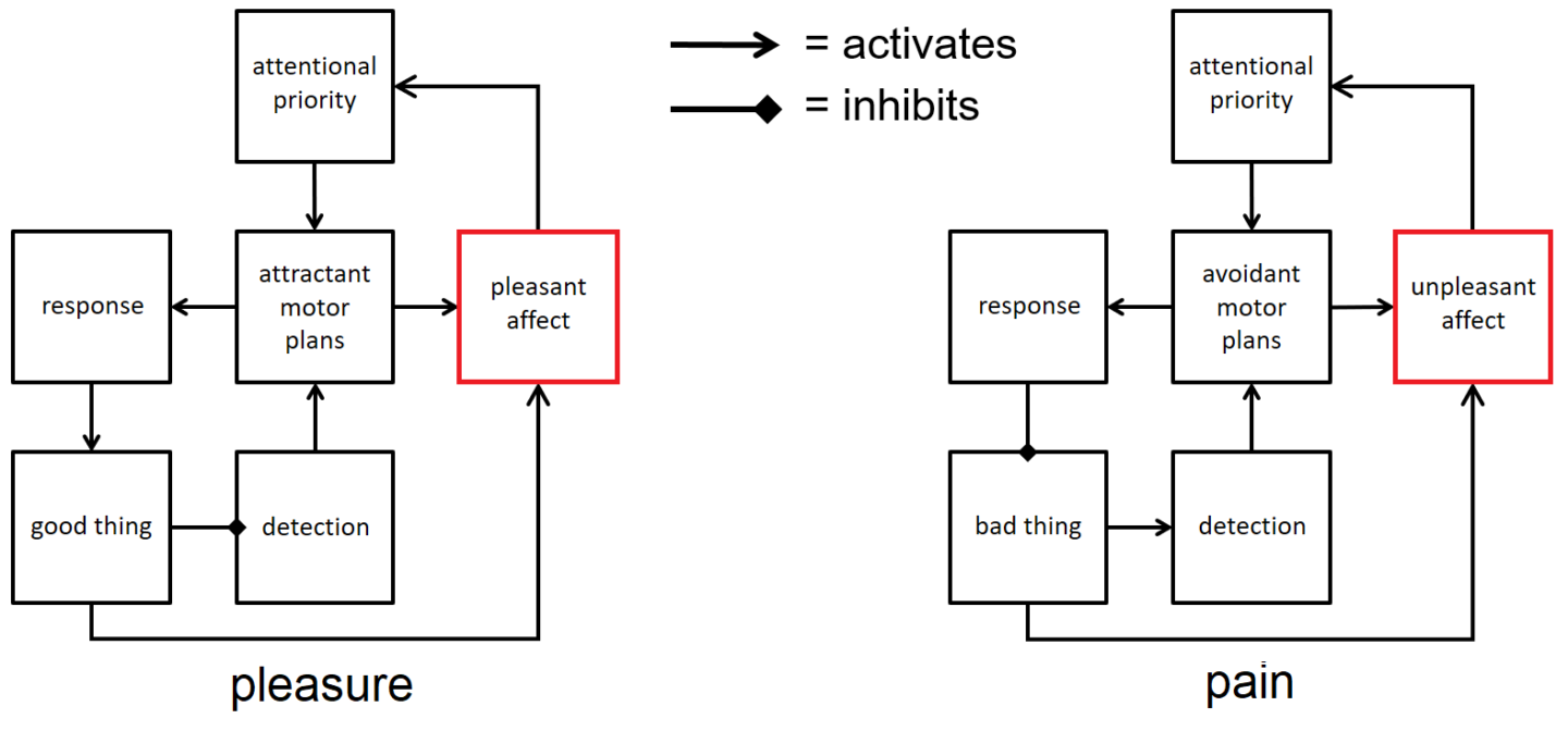 3. Pain and pleasure — The Brains Blog